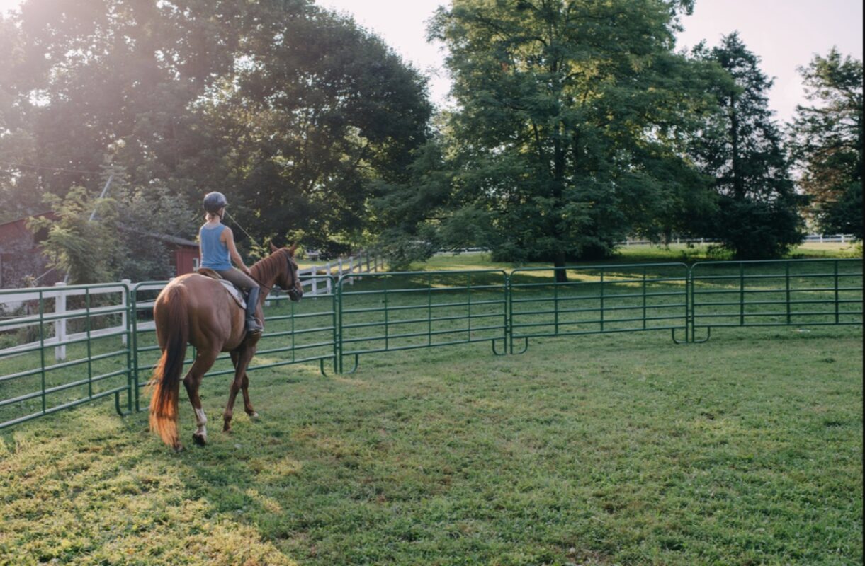 Heavy Duty Mustang 60 Ft Round Pen (5 Rail) - corral fence panels